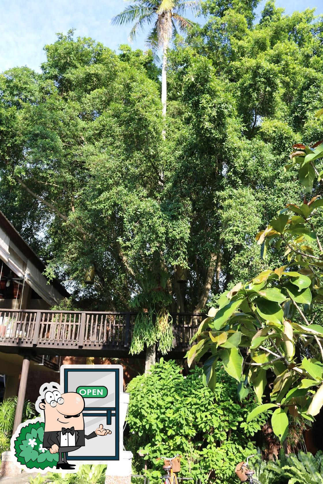 The Tree House in Anantara restaurant, Mai Khao - Restaurant menu and ...