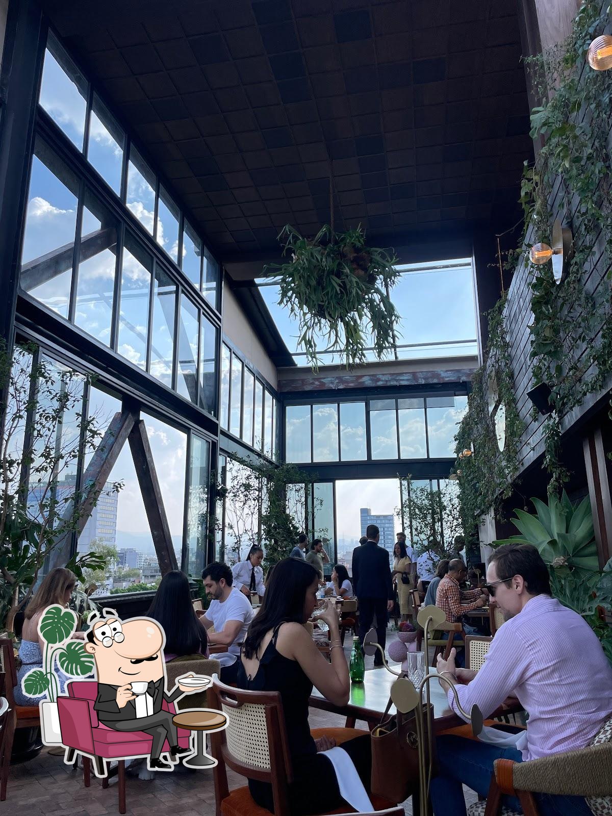 Restaurante Altanera Roma, Ciudad de México - Opiniones del restaurante