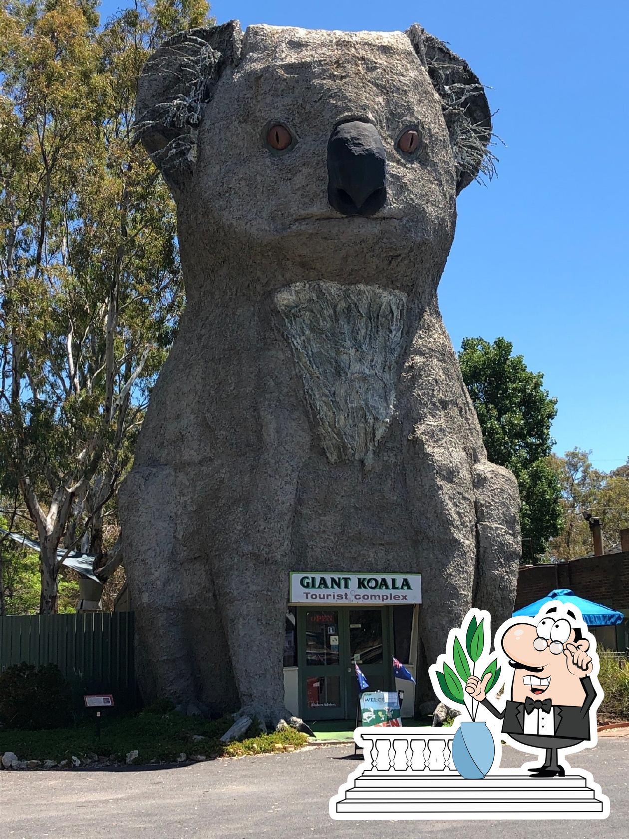 Giant Koala Restaurant Tourist Complex in Dadswells Bridge - Restaurant ...