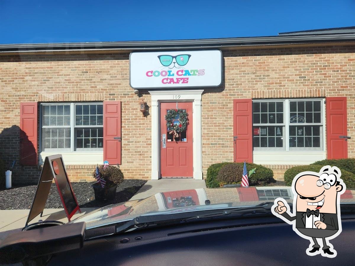 Cool Cats Cafe in Elverson - Restaurant menu and reviews