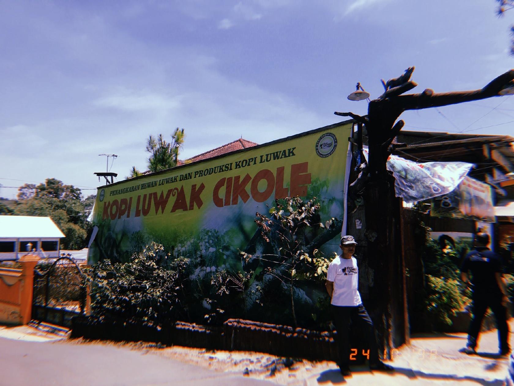 Penangkaran Luwak (CV Kopi Luwak Cikole), Lembang - Opiniones del ...