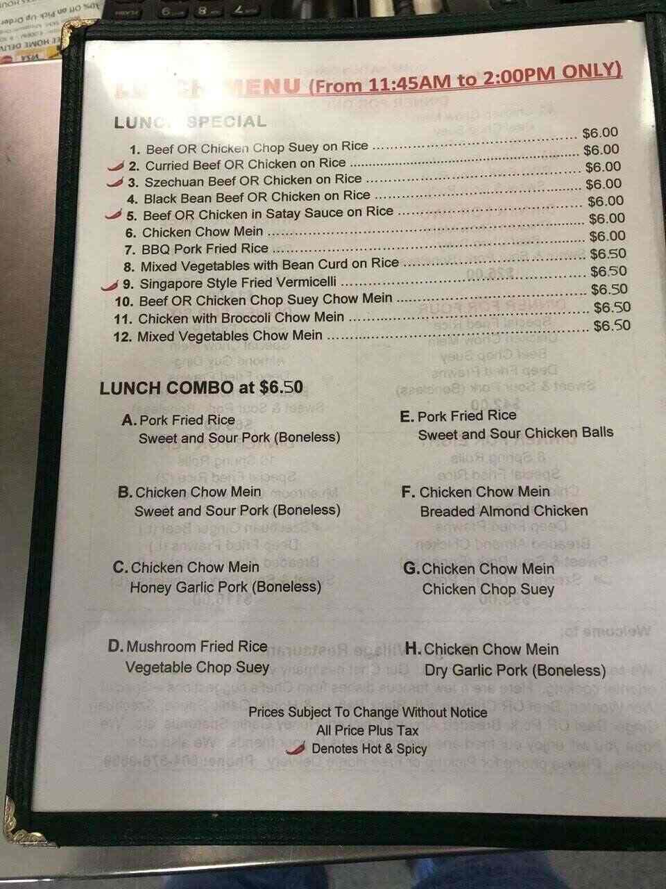 Menu at Dragon Village Restaurant & Won Ton House, Surrey