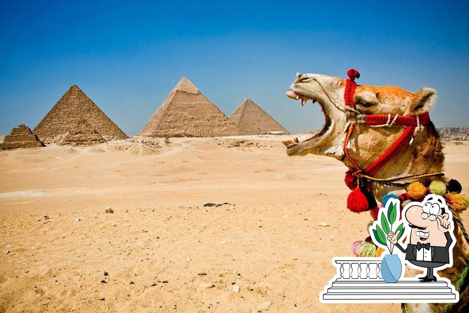 Camel Burger Cairo, Cairo - Restaurant menu, prices and reviews