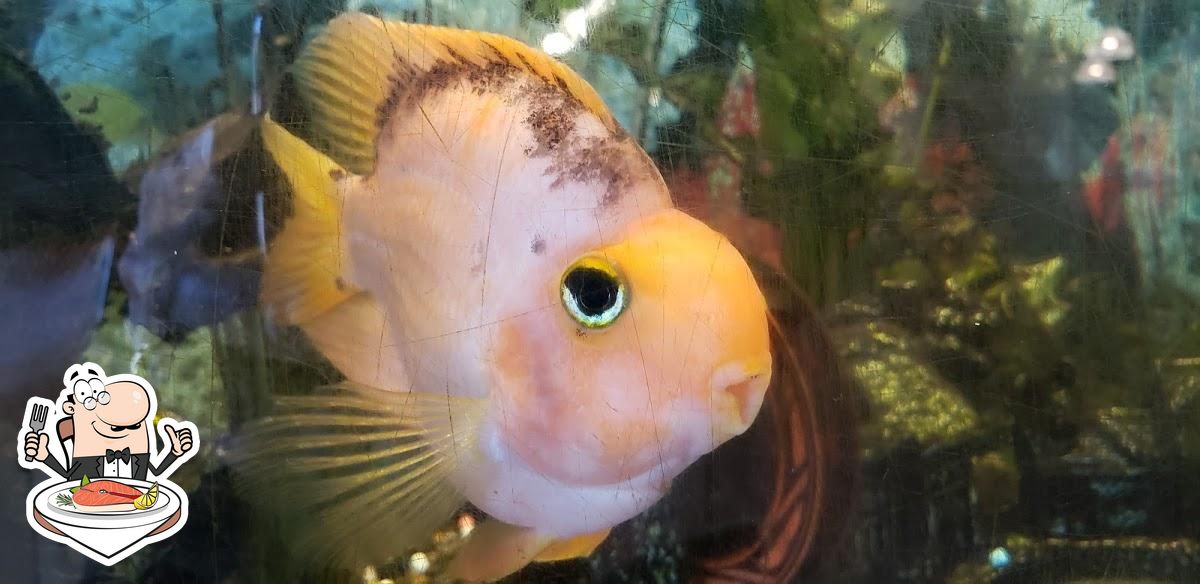 Sun R Restaurant in Creston - Restaurant menu and reviews