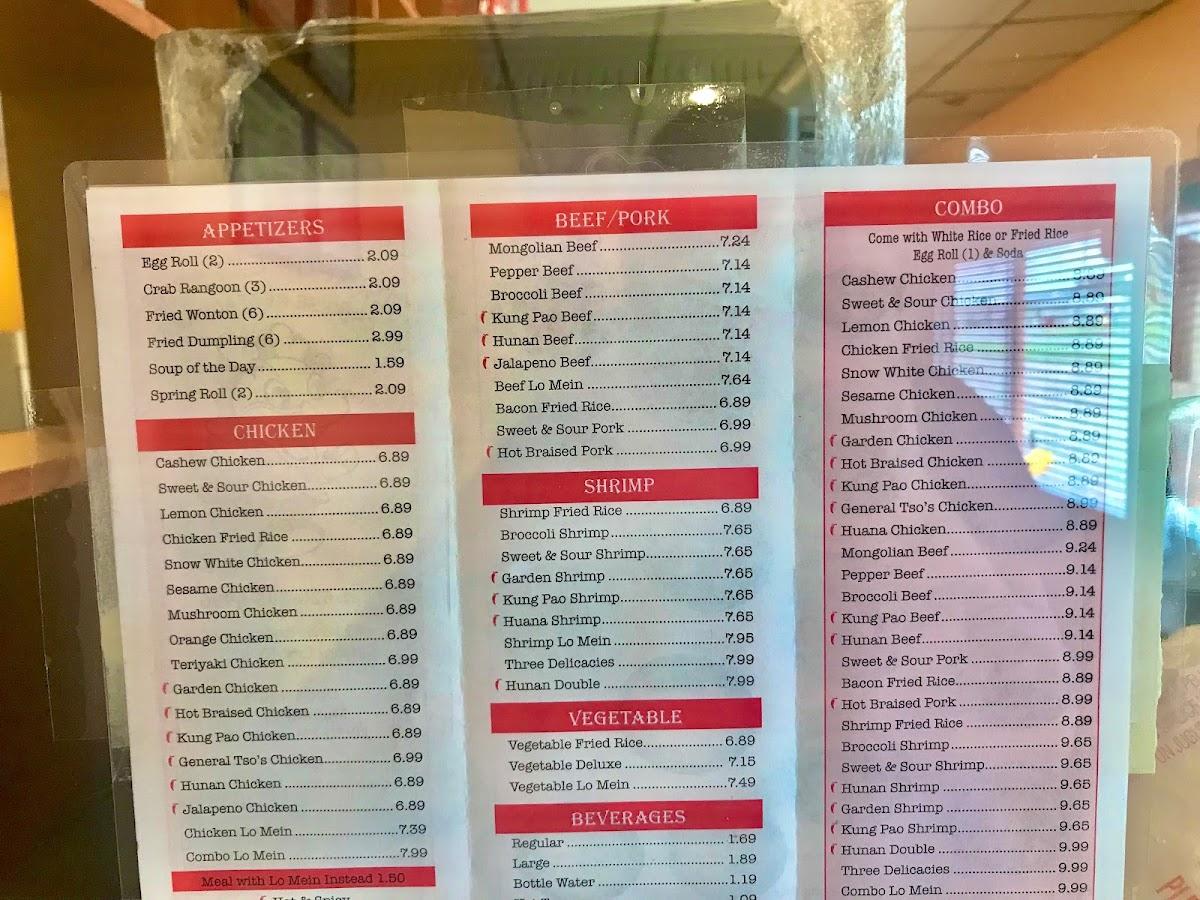Menu at Dragon Express restaurant, Garden City, N Taylor Ave