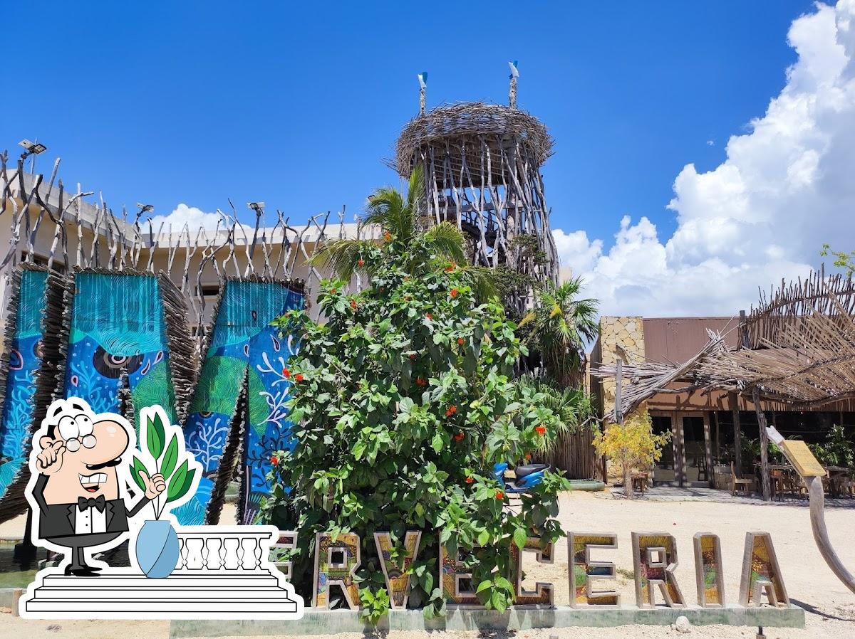 Cerveza Tulum restaurant, Tulum - Restaurant menu and reviews