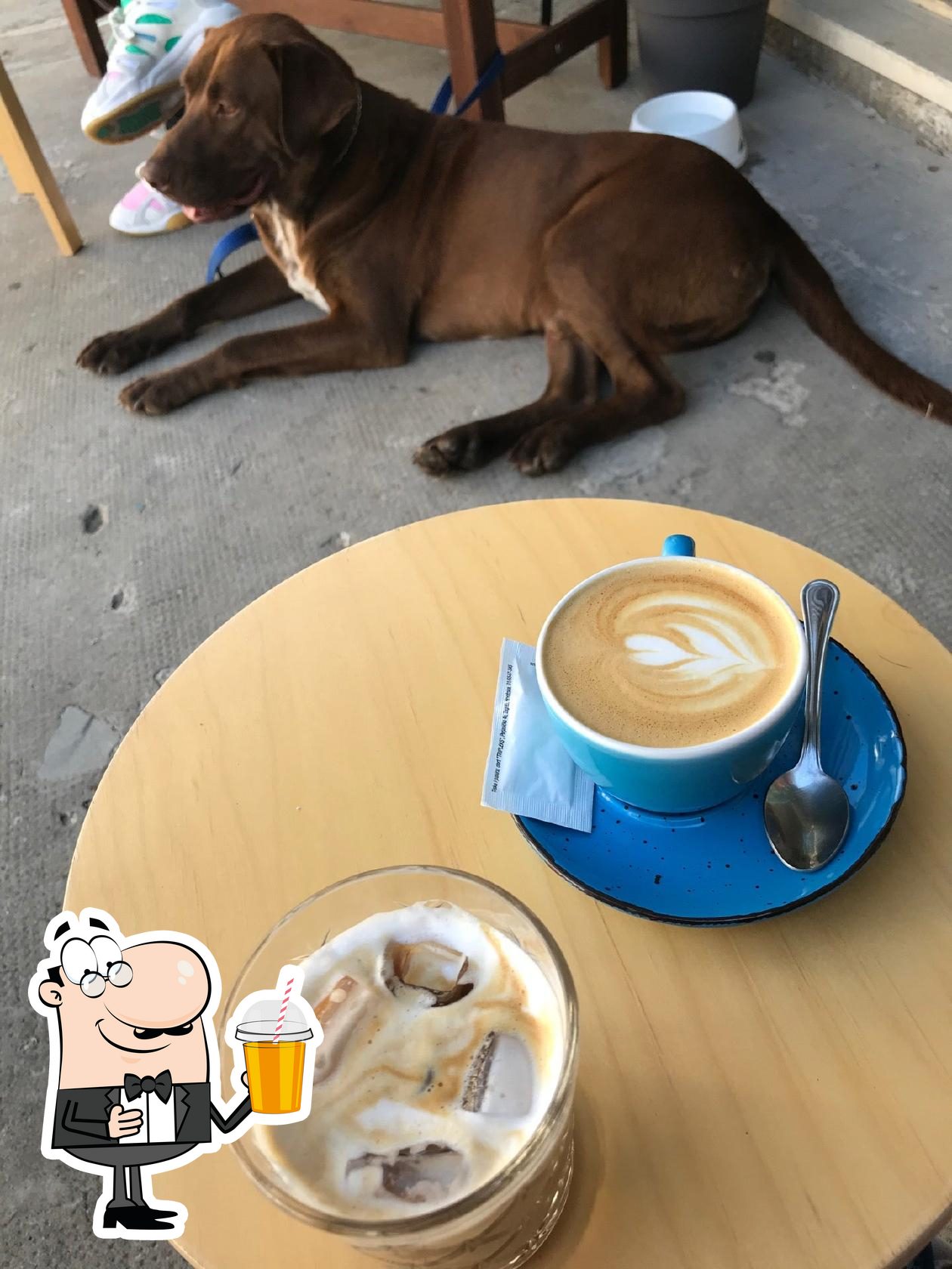 Cogito Coffee Shop / Ploče Gate cafe, Dubrovnik - Restaurant reviews