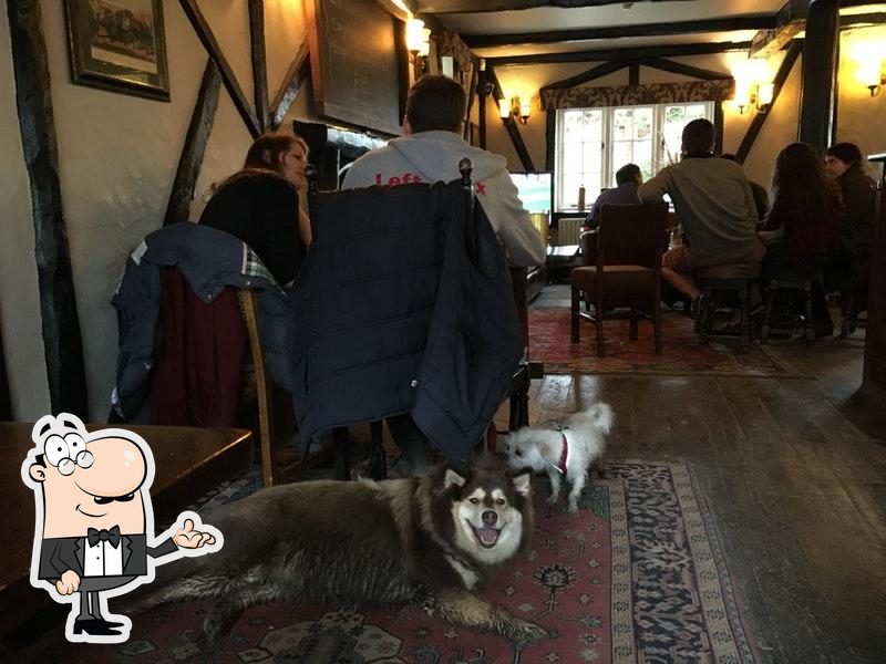 The High Corner Inn, Linwood in Ringwood - Restaurant reviews