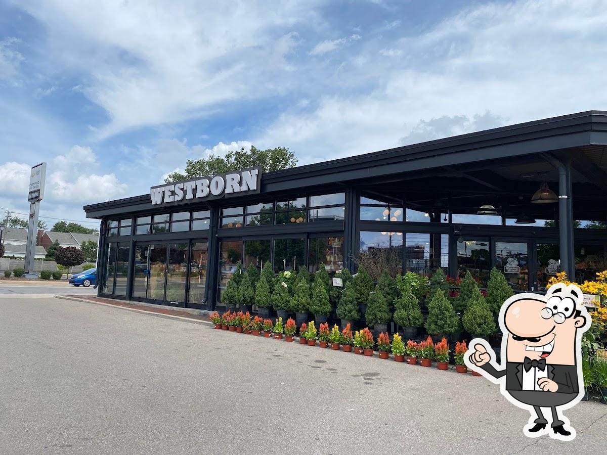 Westborn Flower Market Dearborn Mi | Best Flower Site