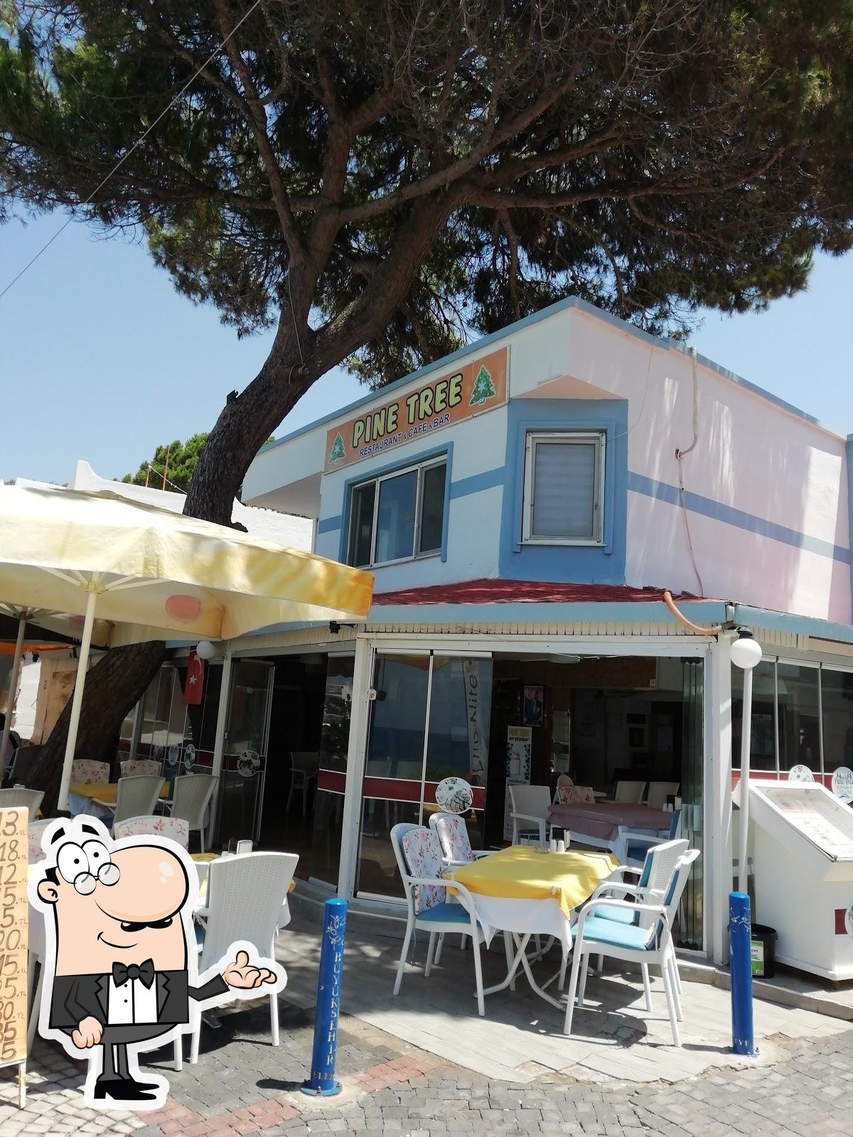 Pine Tree Restaurant Cafe Bar, Kusadasi - Restaurant reviews