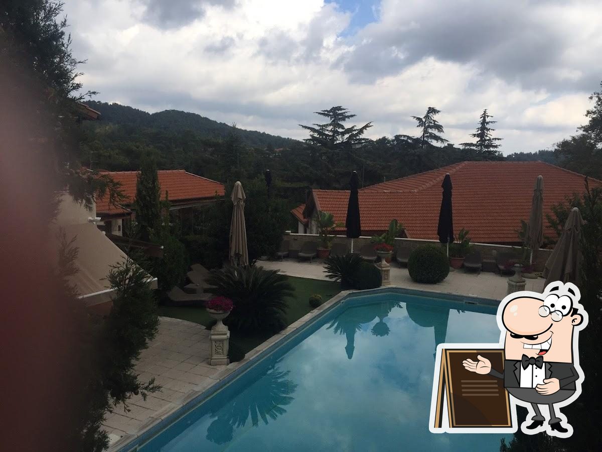 Skylight, Pano Platres - Restaurant reviews