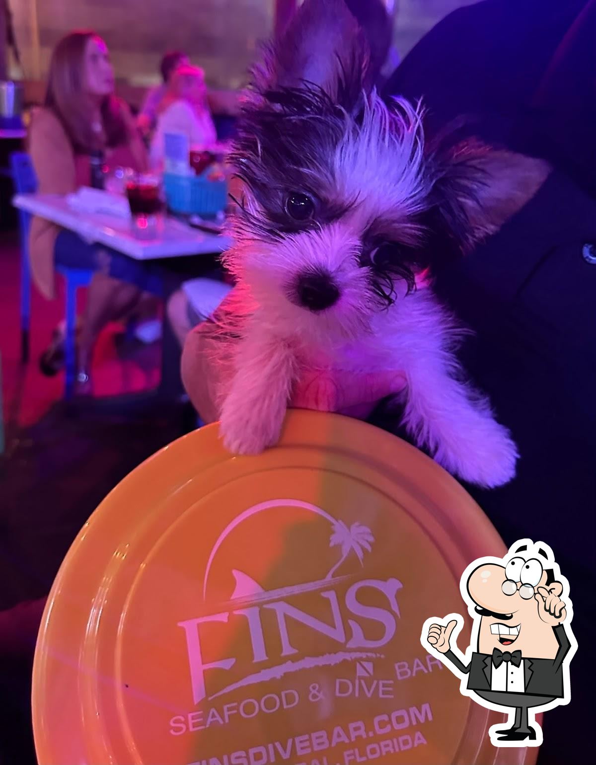 FINS Seafood & Dive Bar, Cape Coral - Restaurant menu, prices and reviews