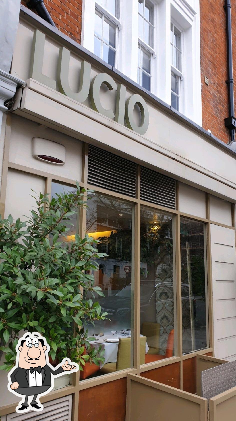 Lucio Restaurant, London - Restaurant menu, prices and reviews