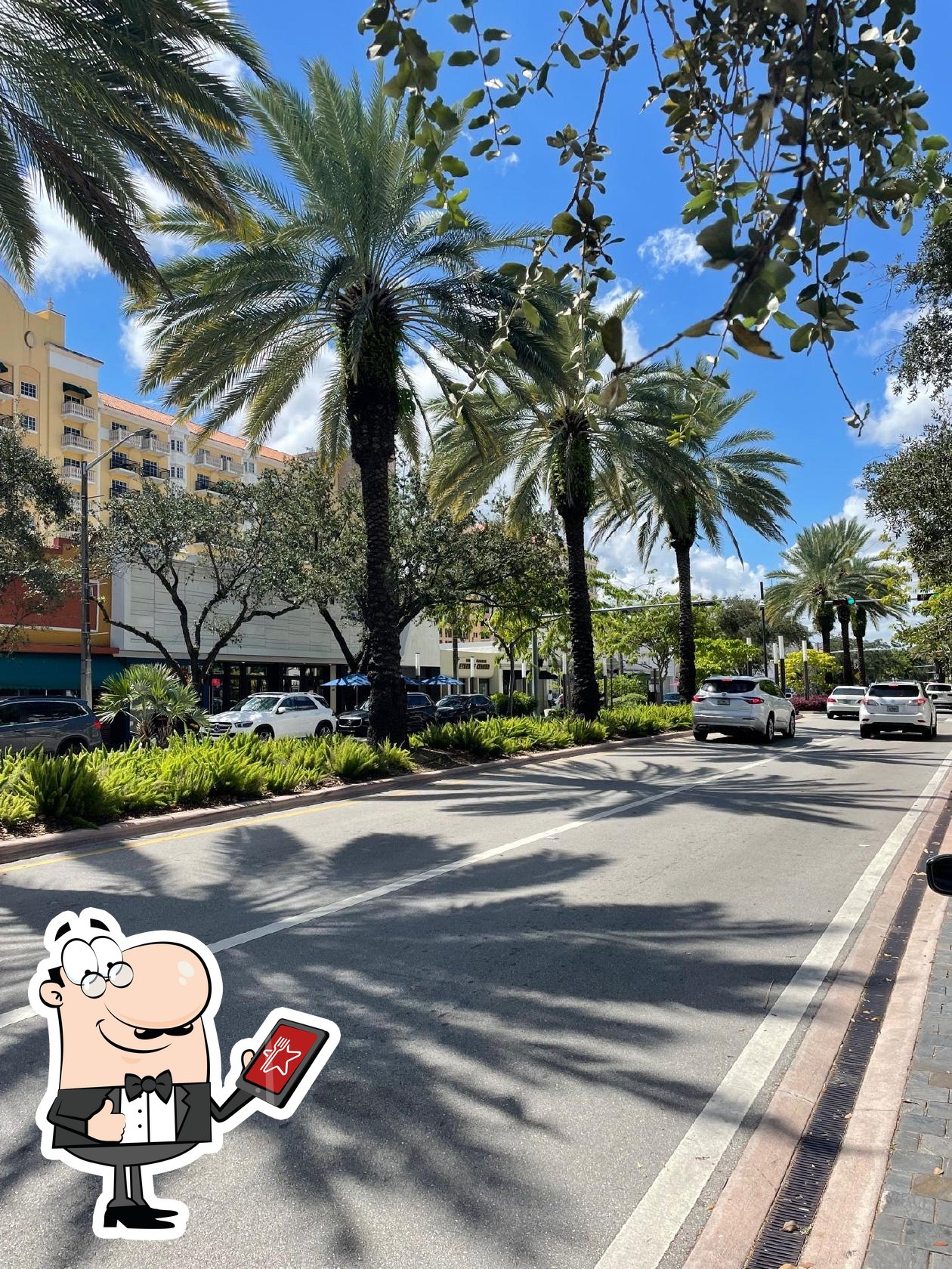 Miracle Mile & Downtown Coral Gables in Coral Gables - Restaurant reviews