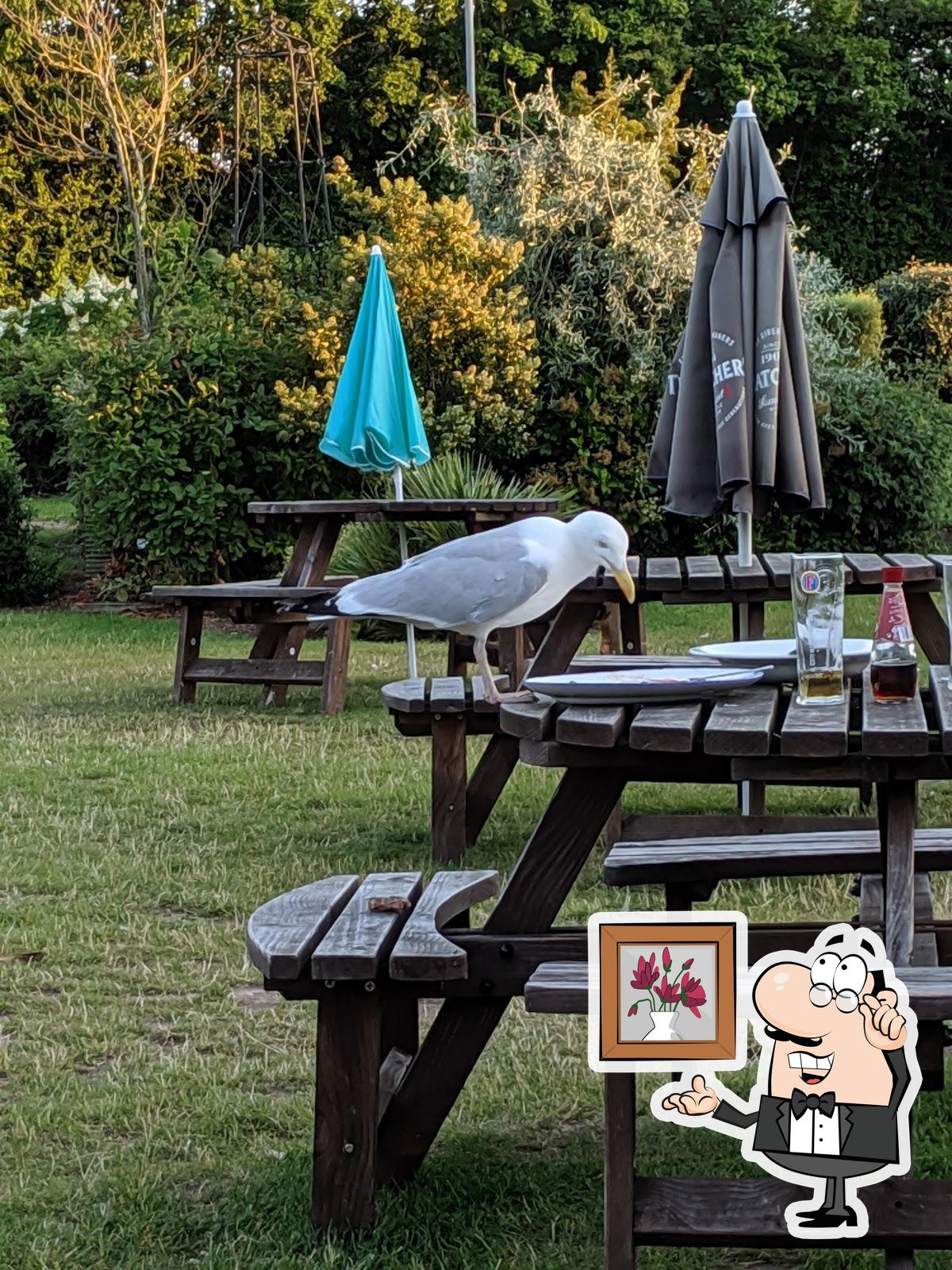 Barn Owl, Worcester - Restaurant menu, prices and reviews