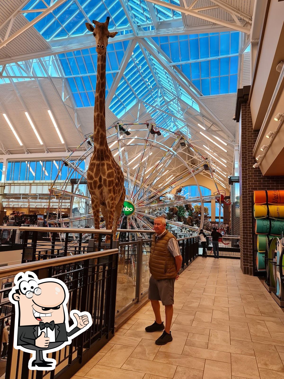 Ginna's Café @ SCHEELS, The Colony - Restaurant menu, prices and reviews