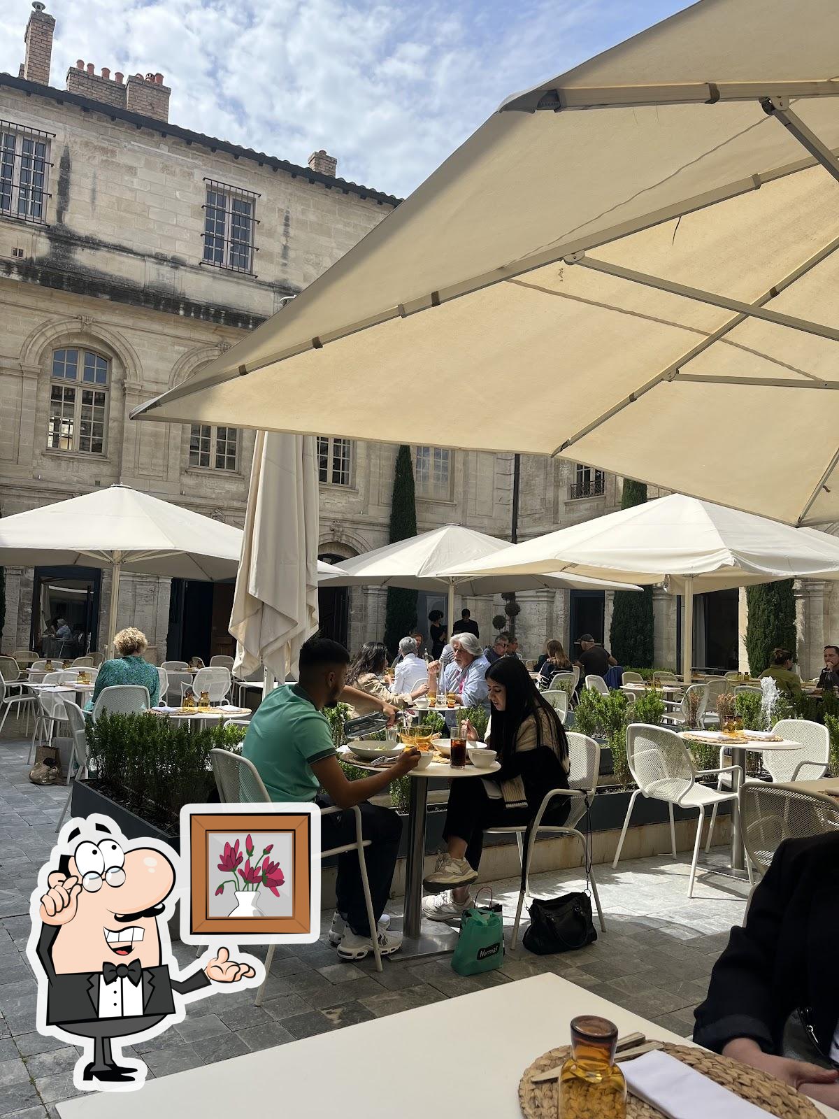 Bibendum, Avignon - Menu du restaurant, prix et avis