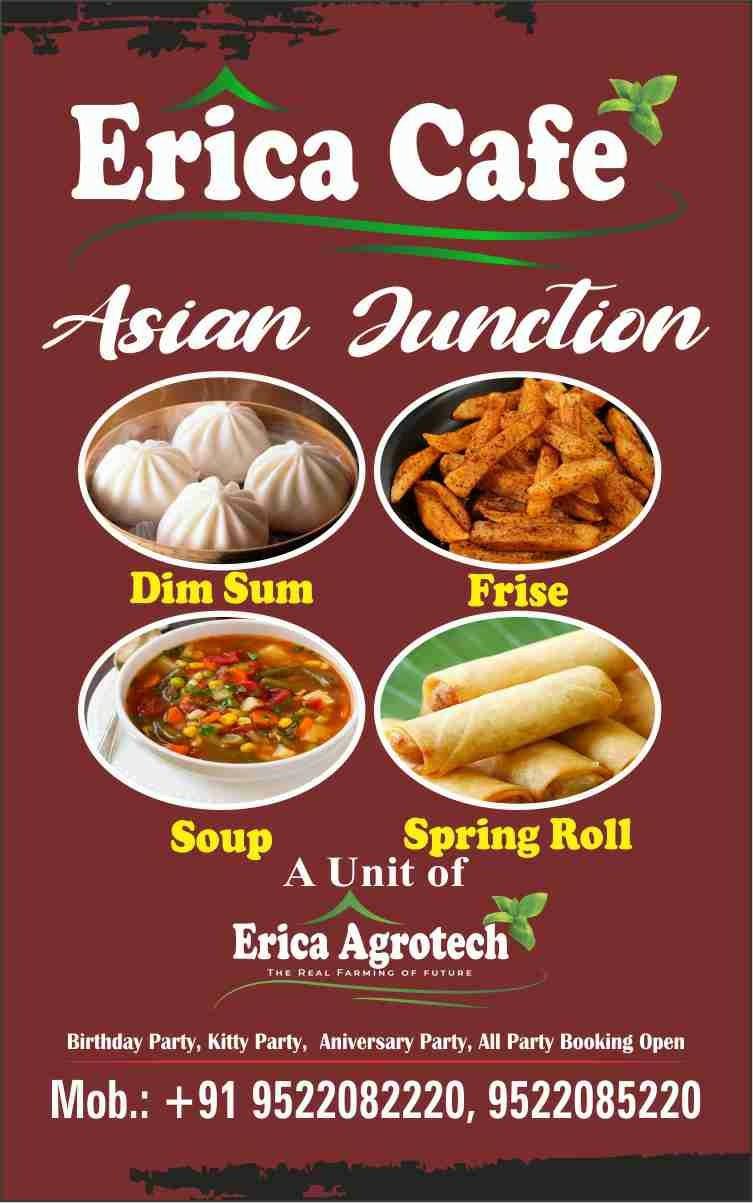 Menu at Erica cafe, Gwalior