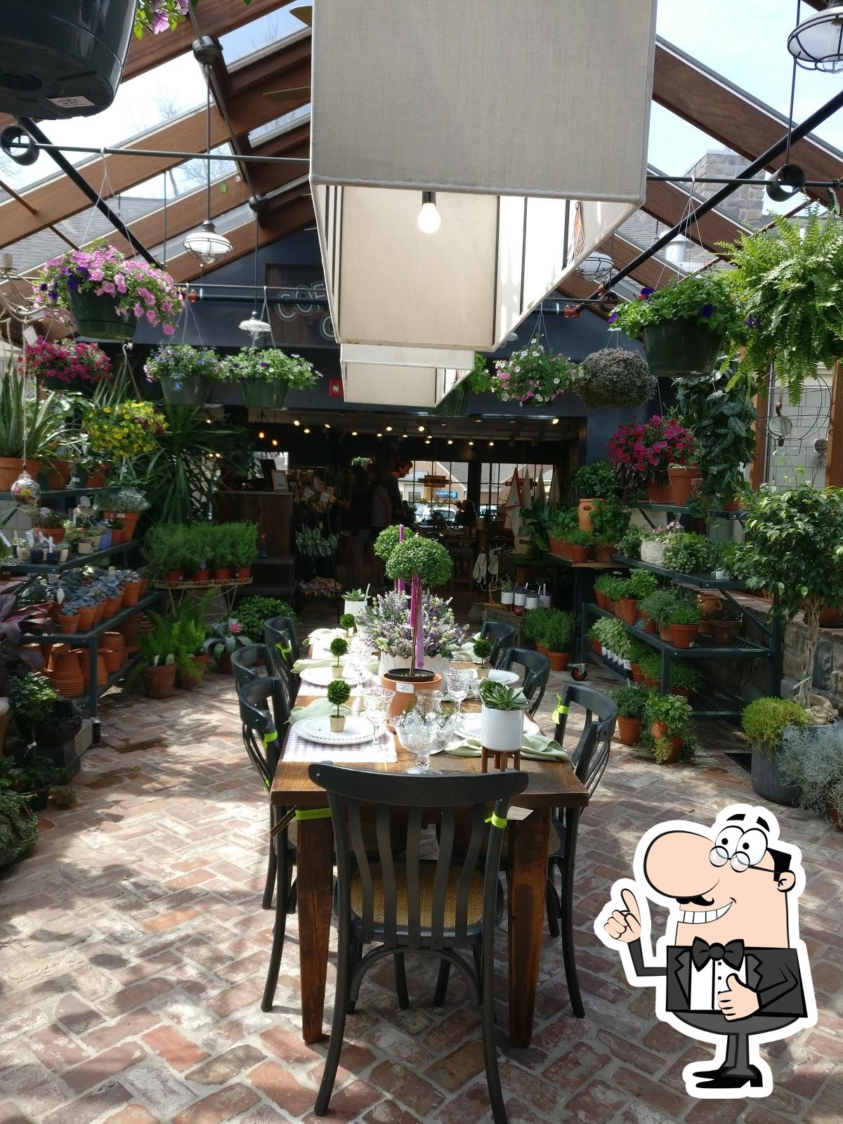 Valley Forge Flowers Cafe | Best Flower Site