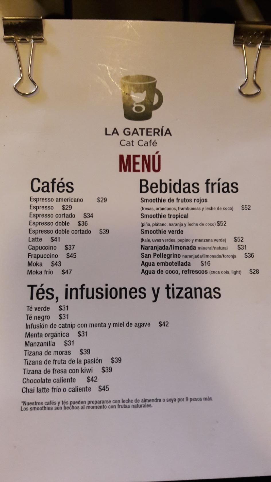 Menu at Cat Café, Mexico City, Tabasco 337