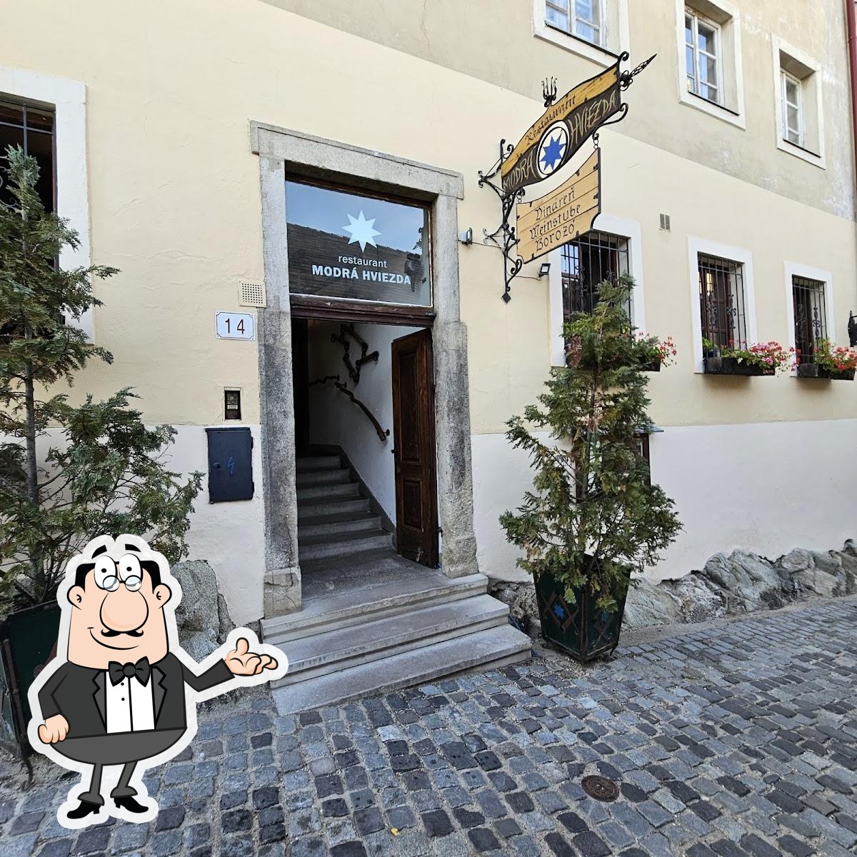 Modrá Hviezda / Blue Star, Bratislava - Restaurant menu, prices and reviews