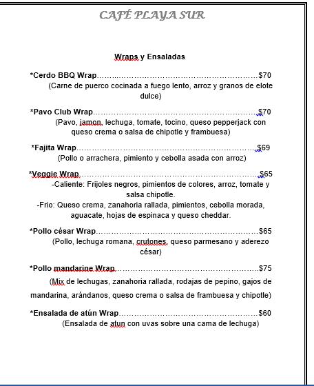 Menu at Café Playa Sur, Mazatlán, Carnaval 706
