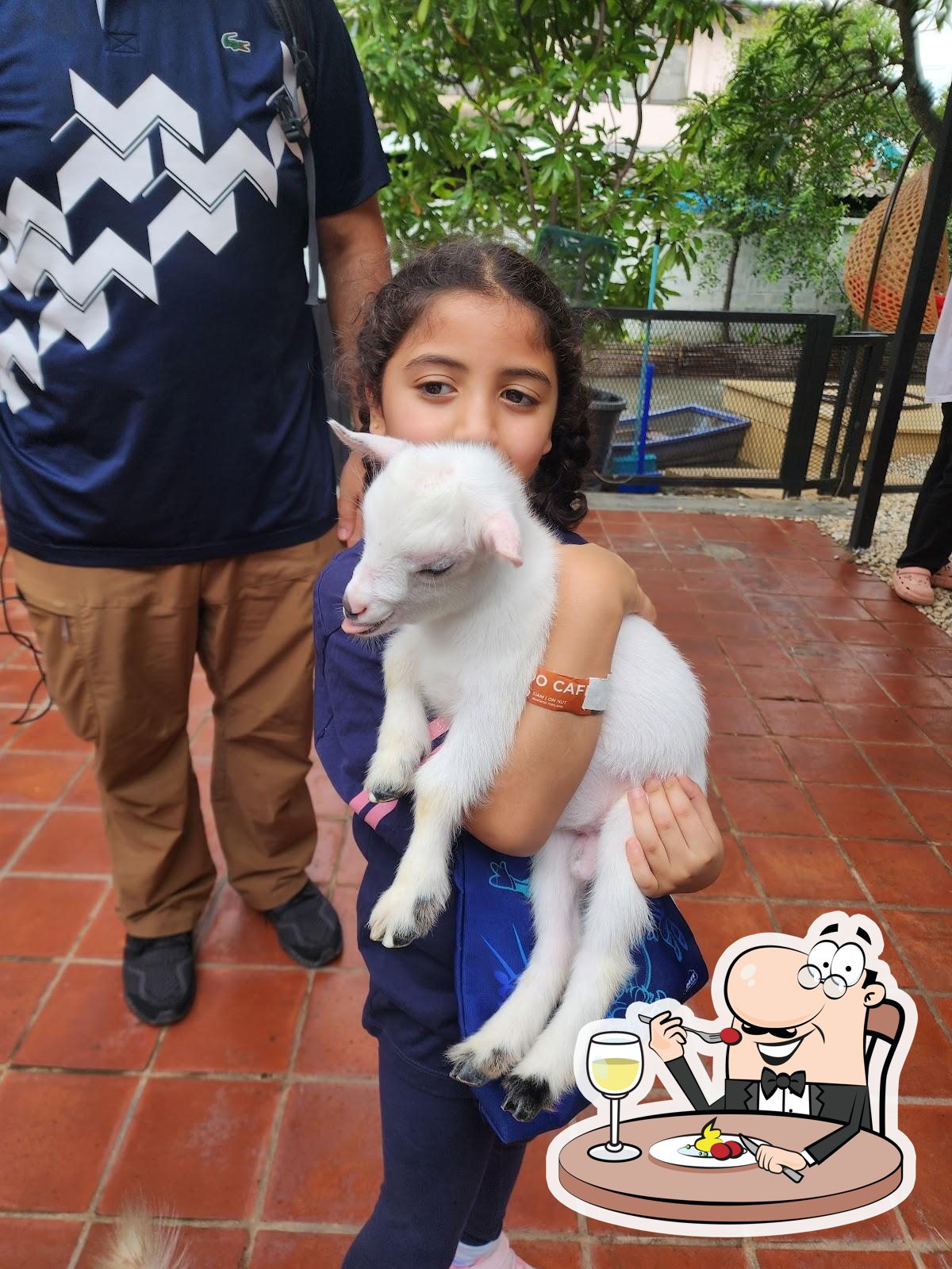 Little Zoo Garden, Bangkok - Restaurant menu, prices and reviews
