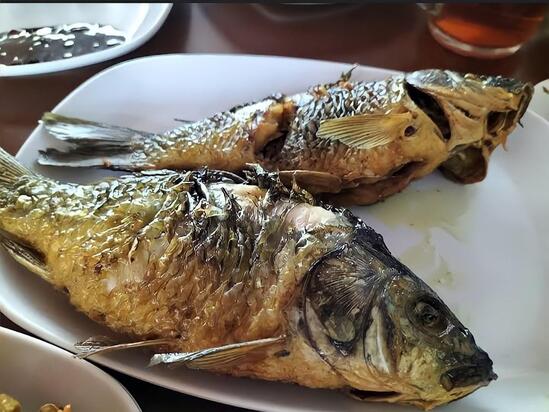 IHC Ibu Haji Ciganea 102B restaurant, Subang - Restaurant reviews