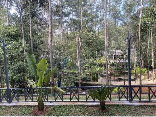 Cilantro multi cusine Restaurant, A Unit Of Kolaahalam, Yercaud ...