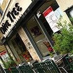 The Olive Tree, Penarth - Restaurant menu, prices and reviews