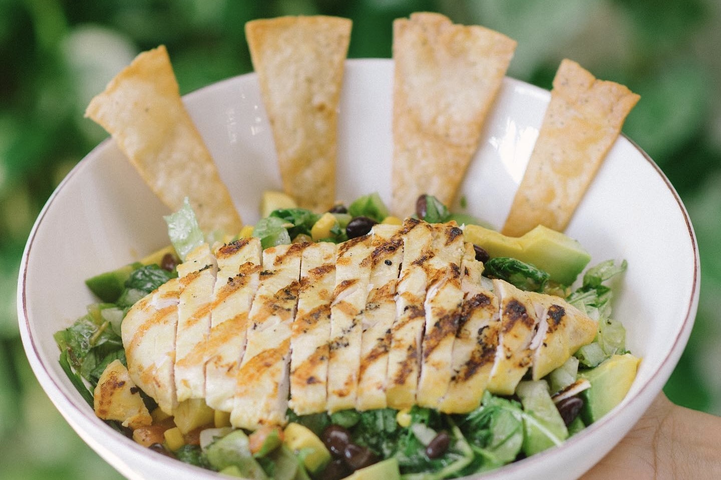 Top 5 restaurants you must visit in Santiago, the Dominican Republic