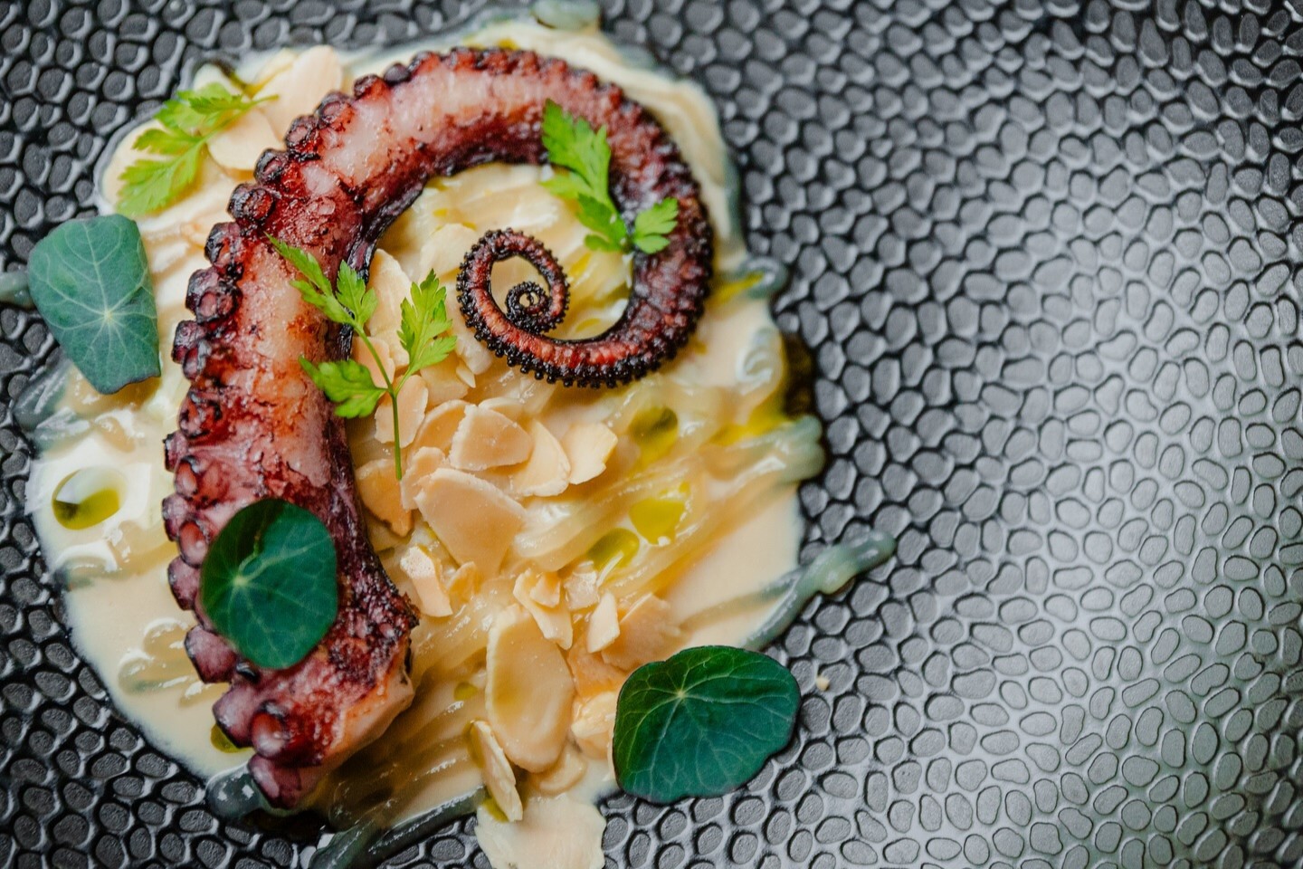 Michelin selection: 7 best restaurants in Prague, the Czech Republic
