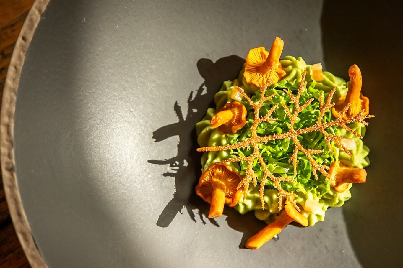 Michelin selection: 7 best restaurants in Prague, the Czech Republic