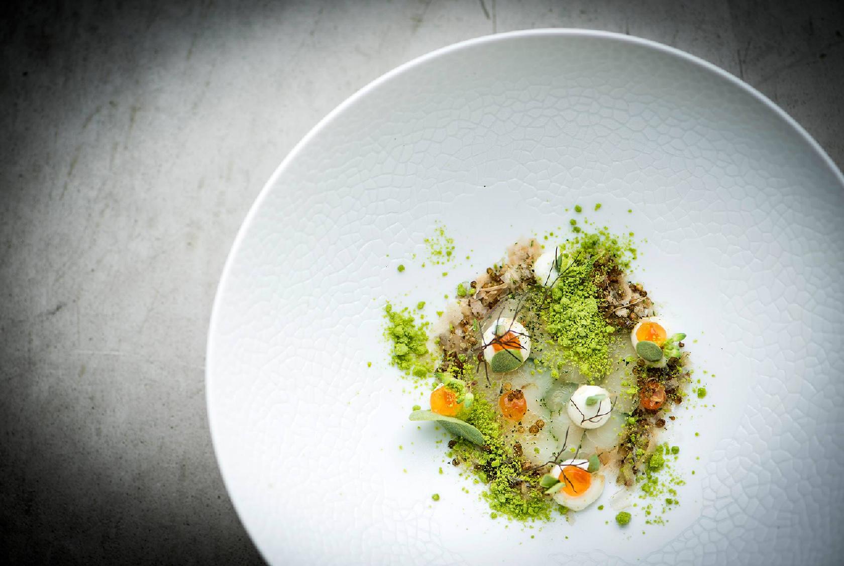 Top 9 Michelin-starred restaurants in Antwerp, Belgium to visit this year