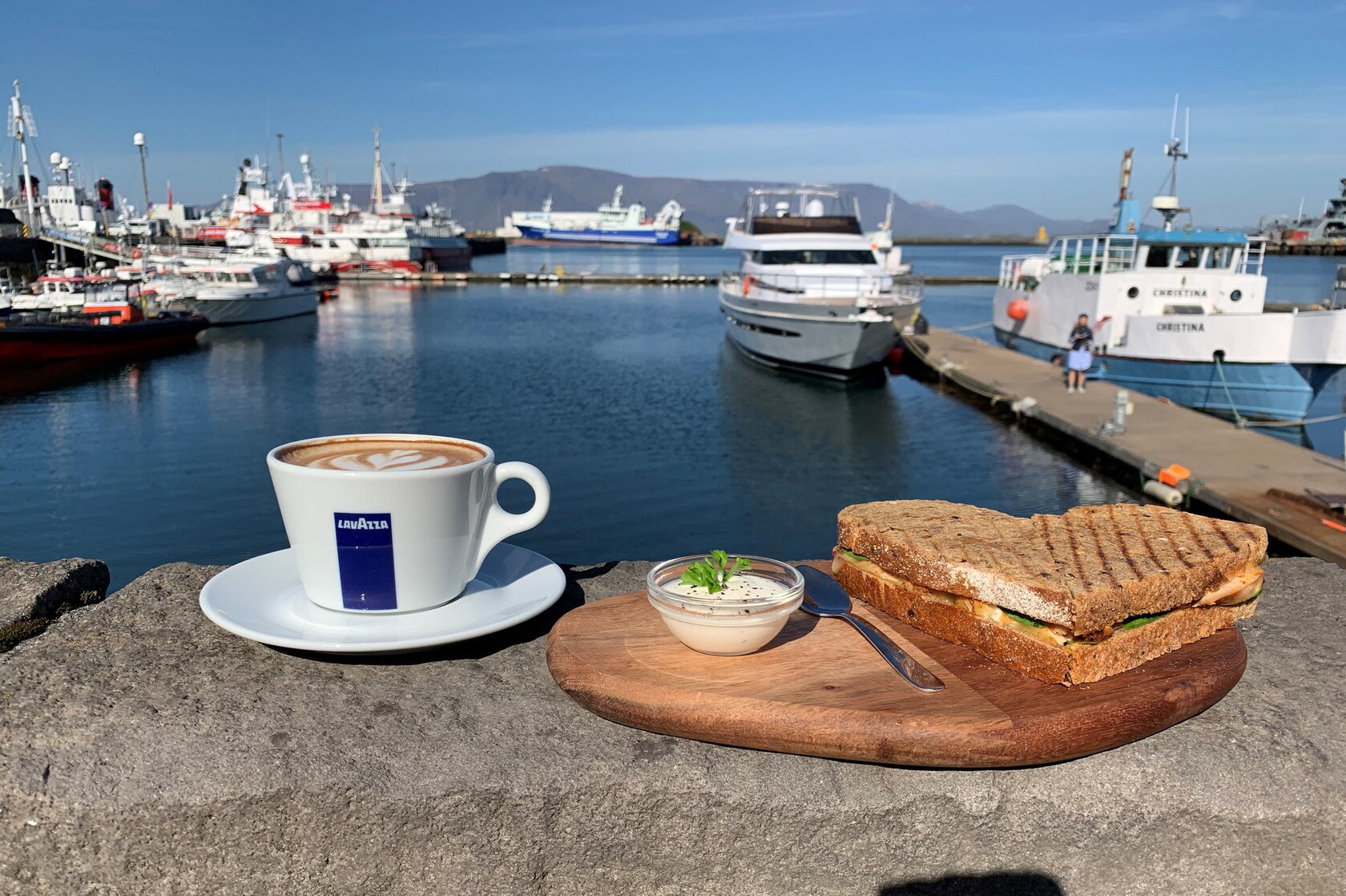 Flavors of Iceland: Traditional Dishes to Try in Reykjavik