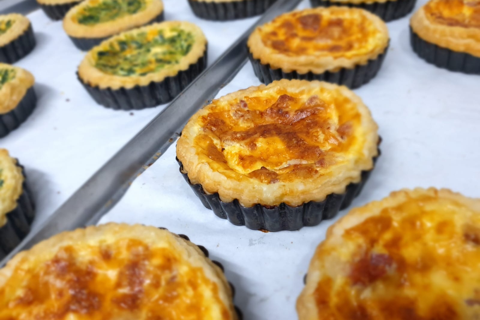 10 must-try foods in Auckland, New Zealand