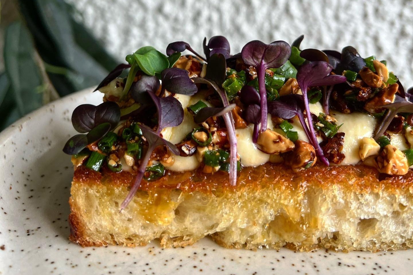 10 must-try foods in Auckland, New Zealand