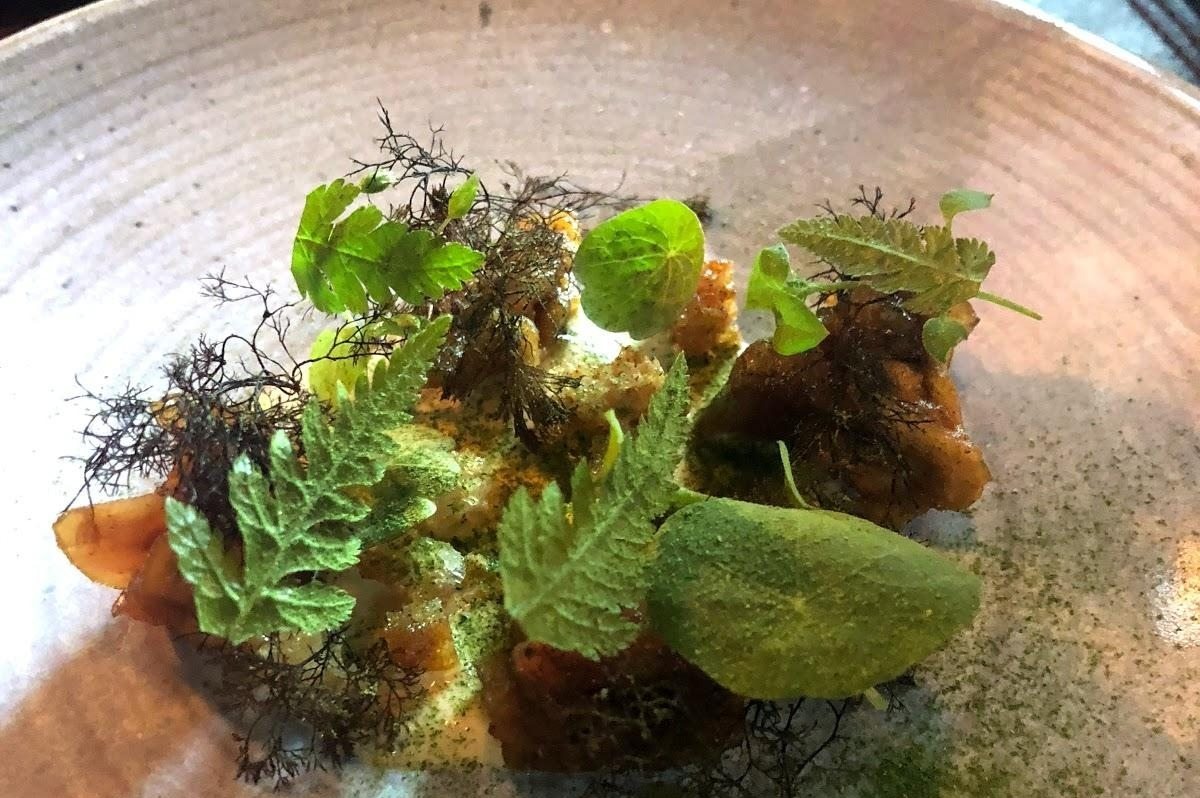5 must-visit restaurants in Reykjavík for the best Icelandic food