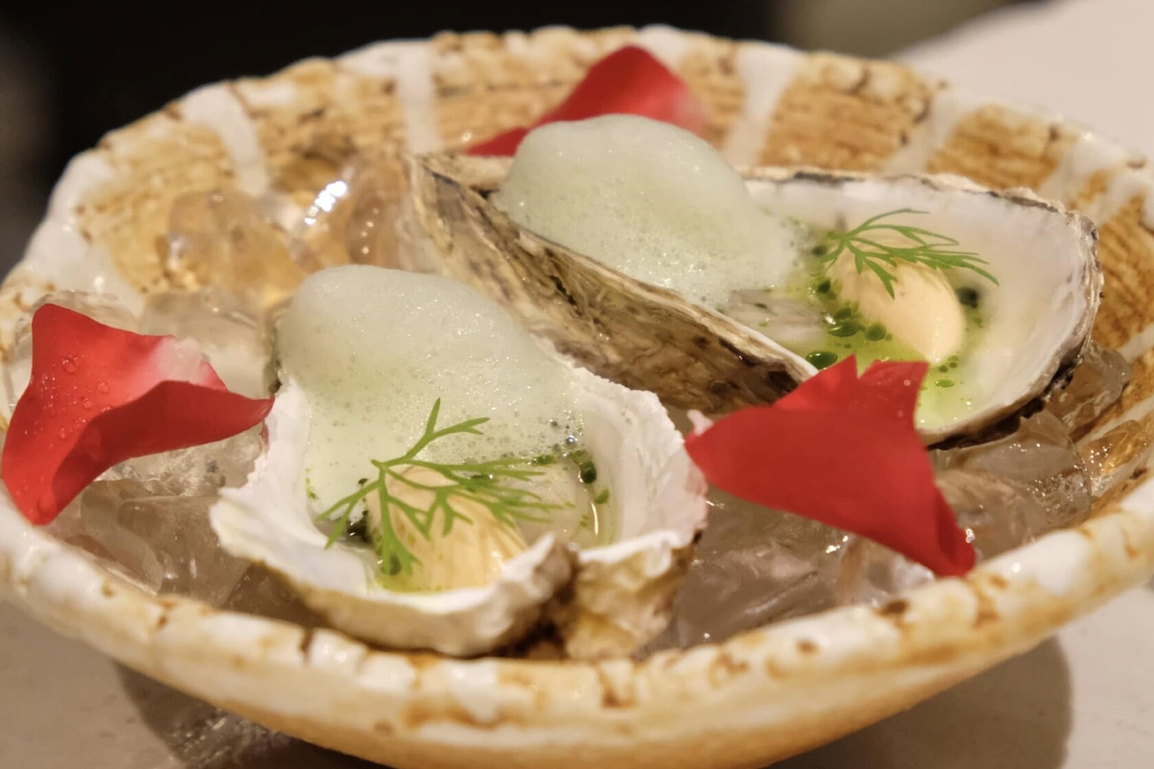 T.U.N.G Dining, Hanoi - Restaurant menu, prices and reviews