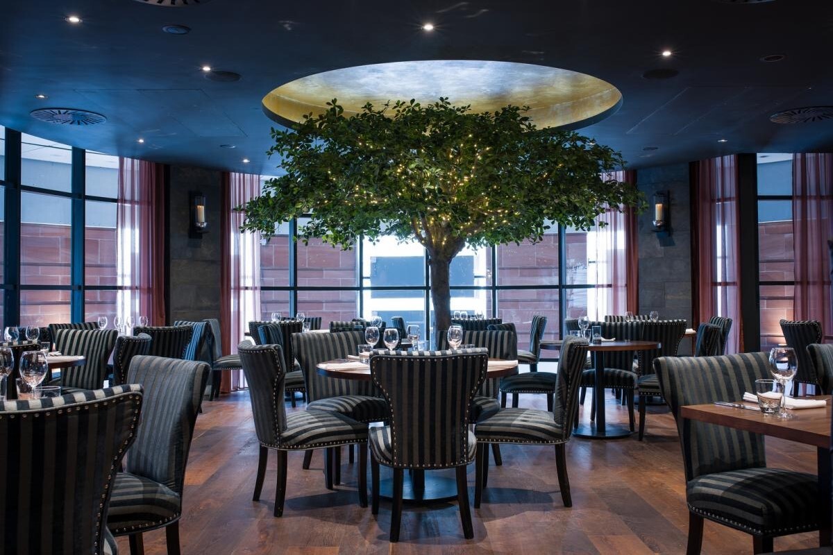 Dine Edinburgh, Edinburgh - Restaurant menu, prices and reviews