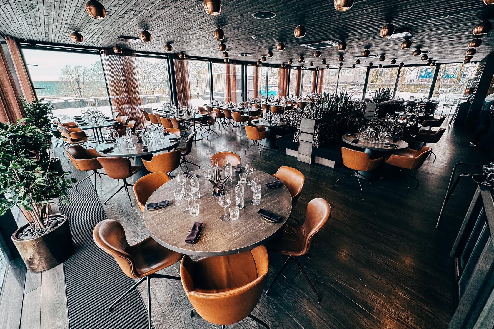 Tuljak, Tallinn - Restaurant menu, prices and reviews