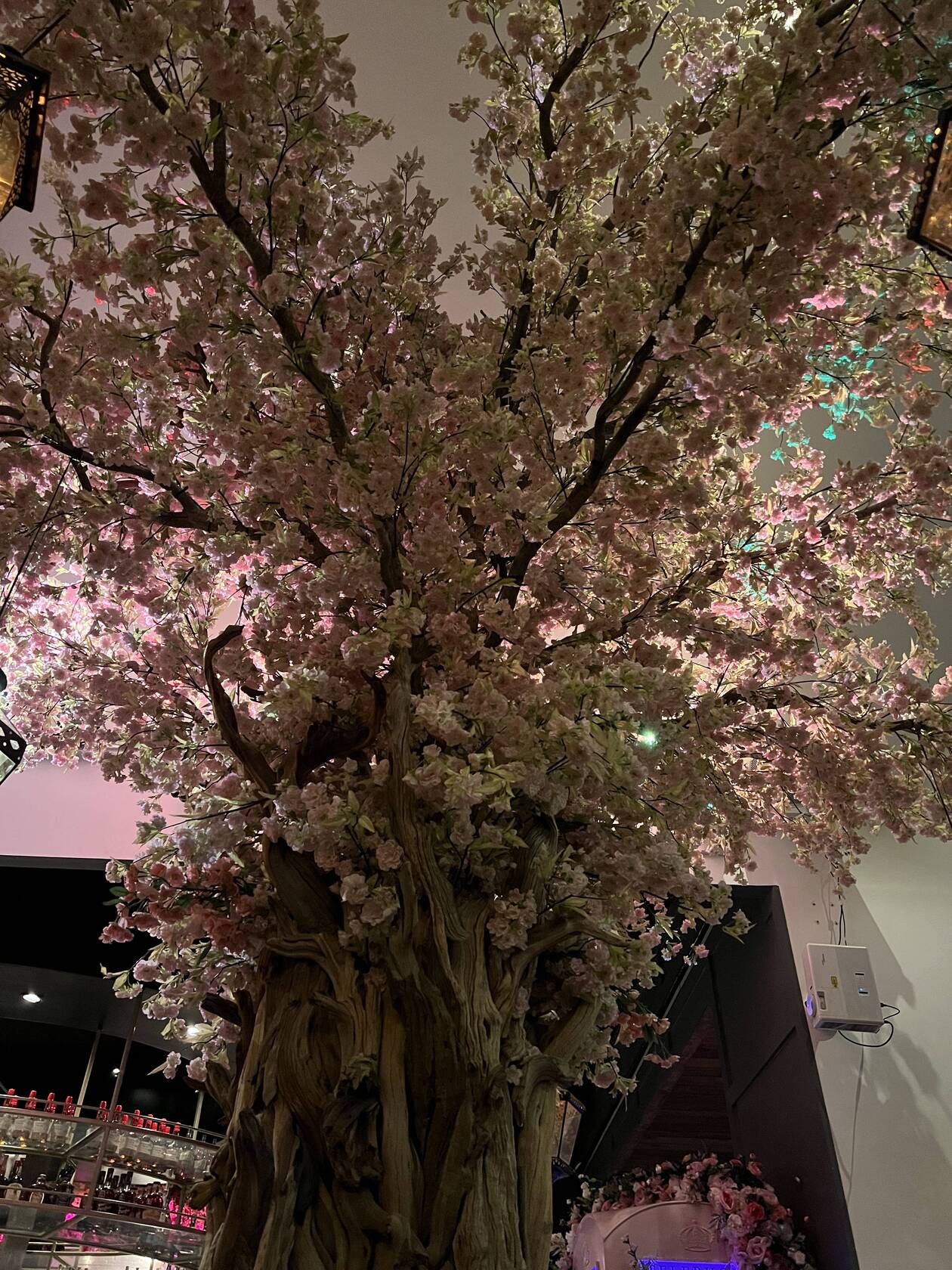 The Glen Restaurant, Frisco - Restaurant menu, prices and reviews