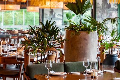 Harry's Steakhouse & Raw Bar Cancun, Cancún - Restaurant menu, prices ...