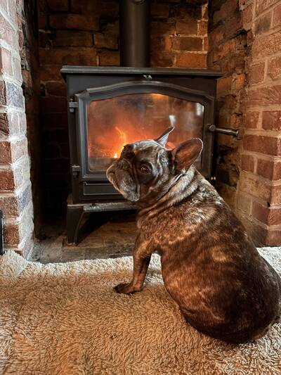 The Crown Inn Pattingham, Wolverhampton - Restaurant menu, prices and ...