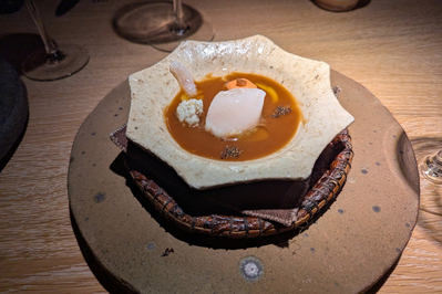 Noma, Copenhagen, Marmorkirken - Restaurant menu, prices and reviews