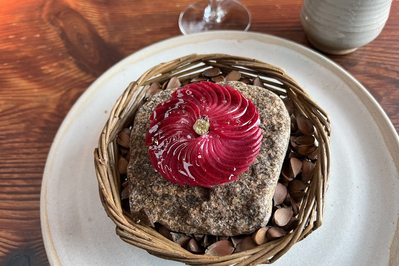 Noma, Copenhagen, Marmorkirken - Restaurant menu, prices and reviews