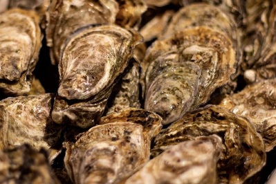 Cañabota, Sevilla - Menú del restaurante, precios y reseñas