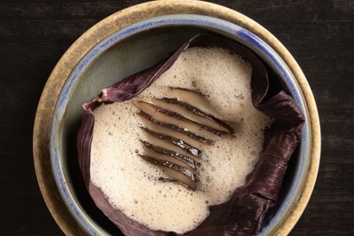 Xokol, Guadalajara - Restaurant menu, prices and reviews