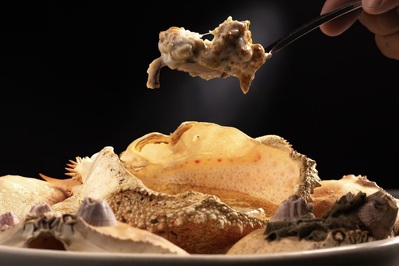Xokol, Guadalajara - Restaurant menu, prices and reviews