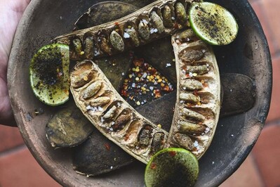 Vernáculo, San Pedro Garza García - Menú del restaurante, precios y reseñas